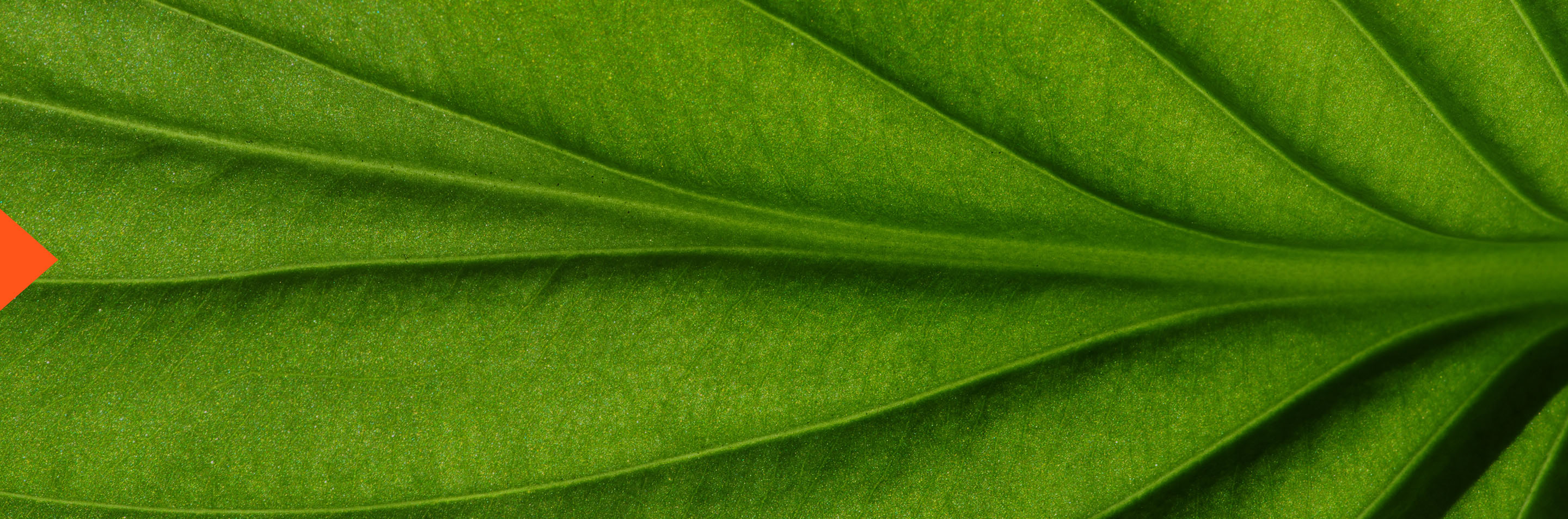 All washed up | BCLP Perspectives